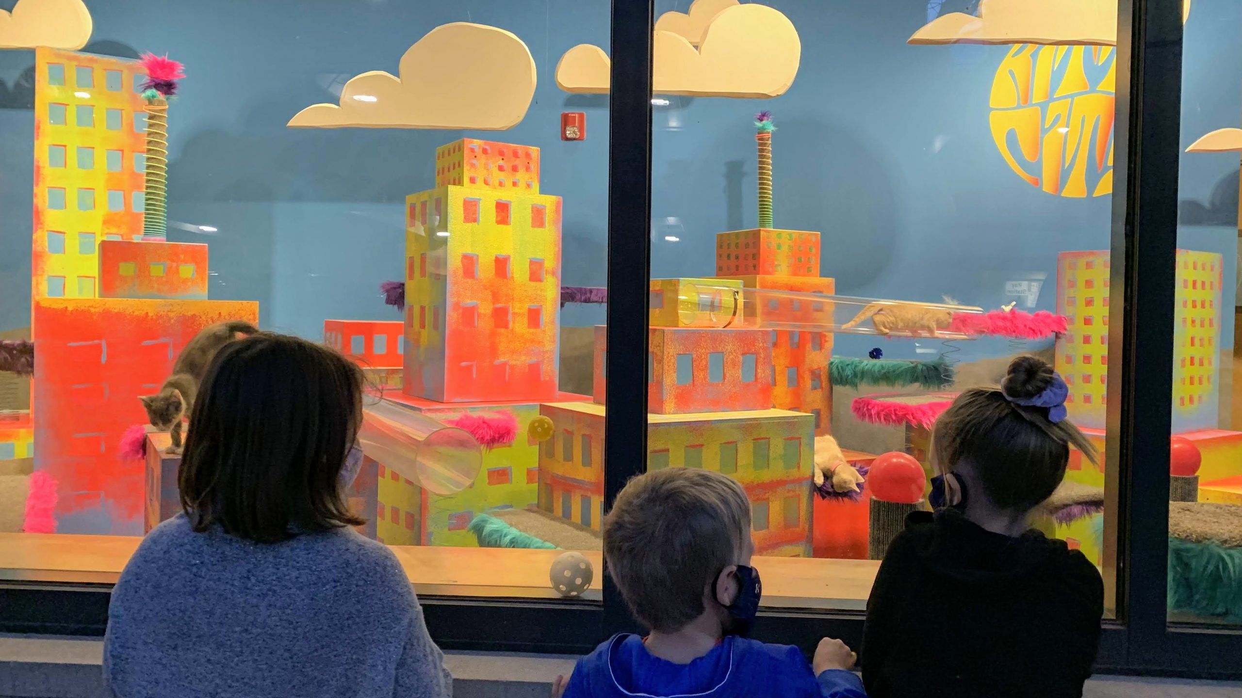 Kitty City exhibit offers sidewalk viewing of ‘psychedelic’ cityscape ...